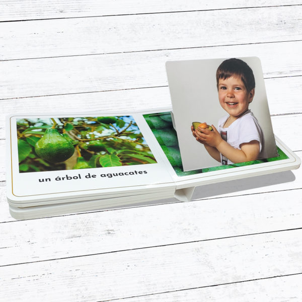High-Quality Professional Pop-Up Book Engineering and Printing Services